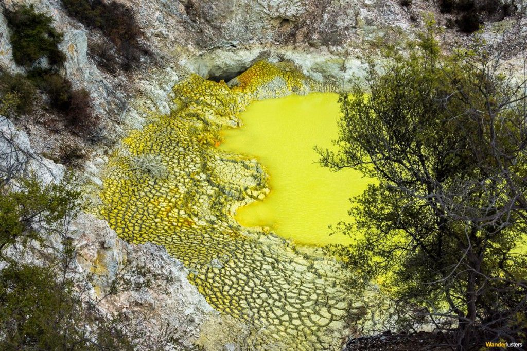 10 Examples Of Inspiring Natural Design