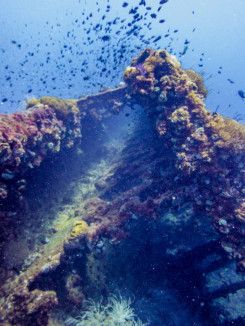 Diving The Wreck Of The SS Yongala