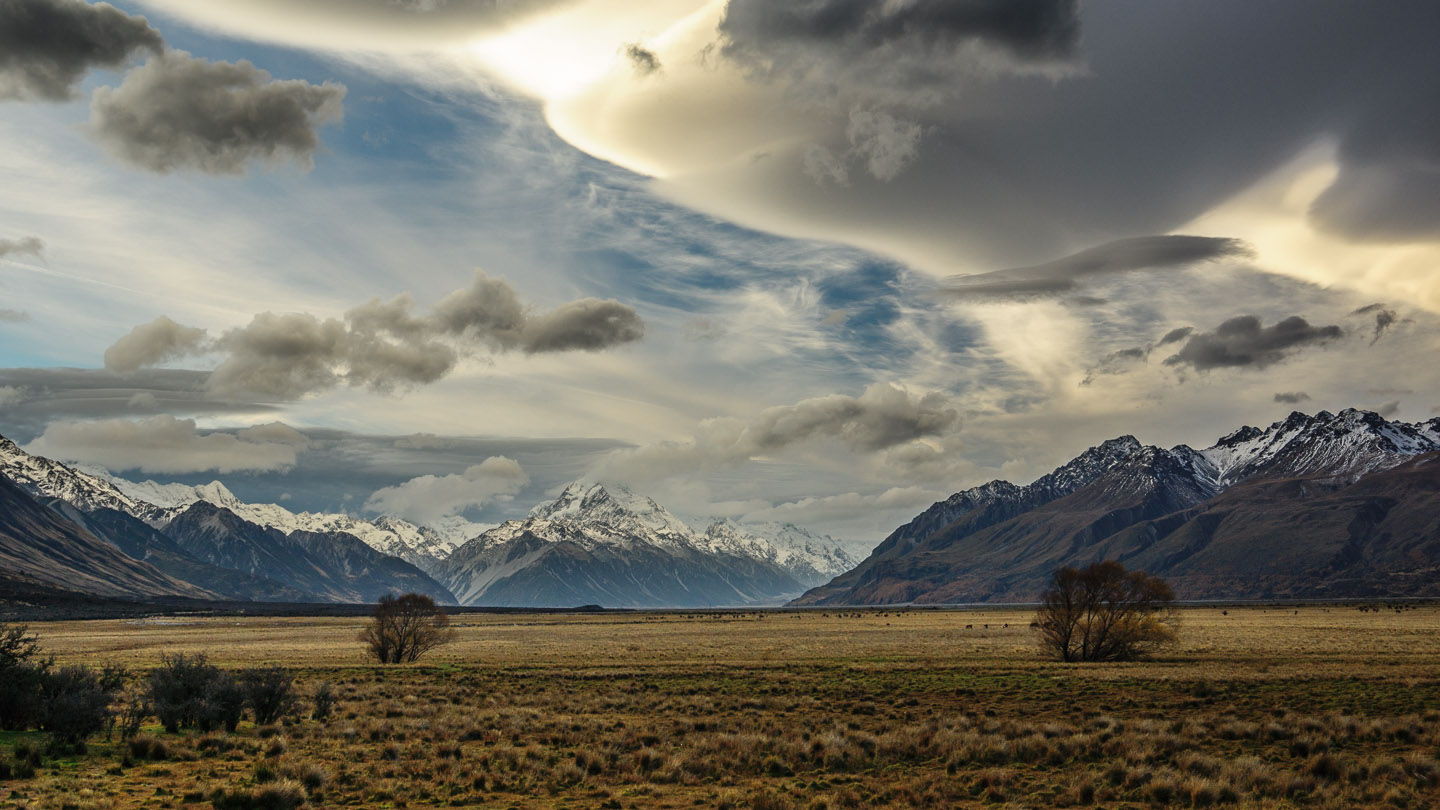 A Journey Through Wild New Zealand