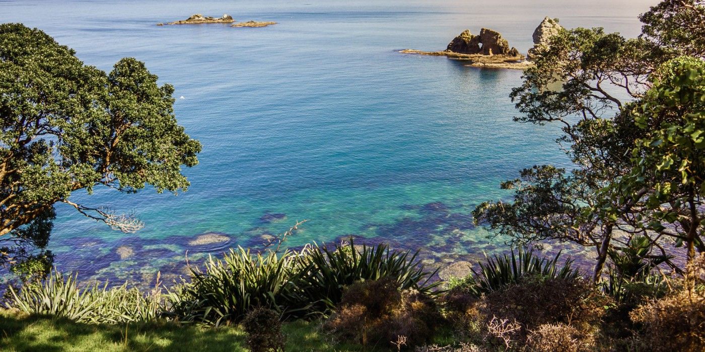Snapshots Of The Coromandel Peninsula