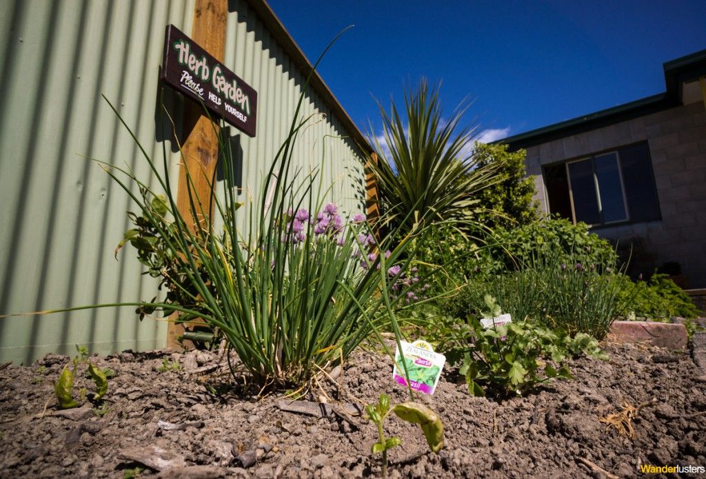 Campsite Chat | Timaru Top 10