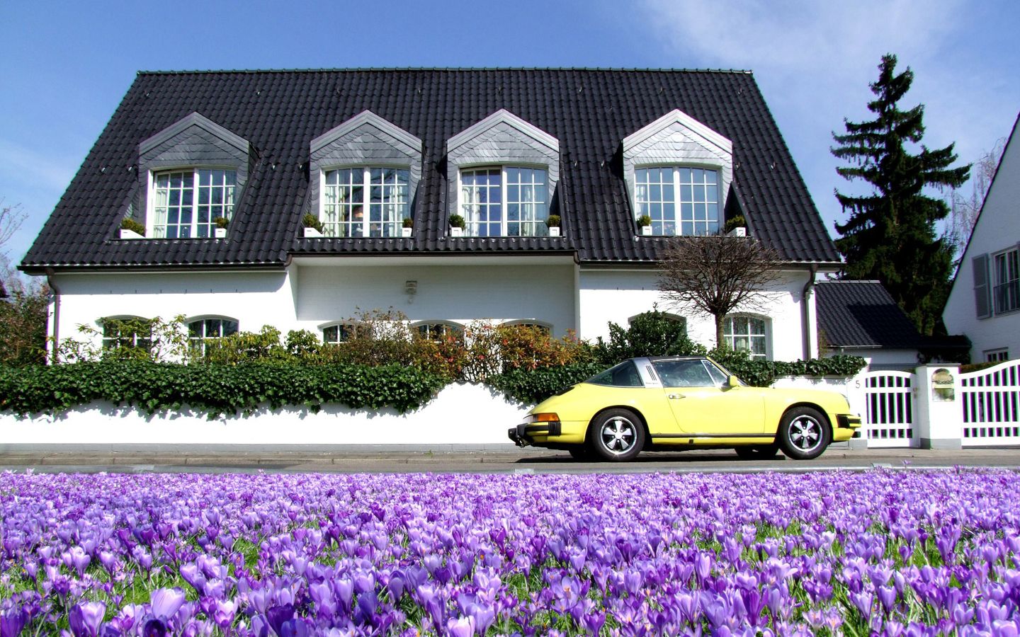 Creating A Successful House Sitting Application