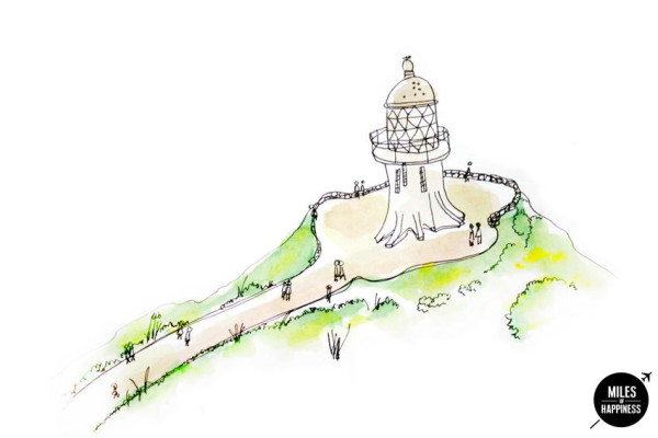 An Illustrated Guide To Wild New Zealand