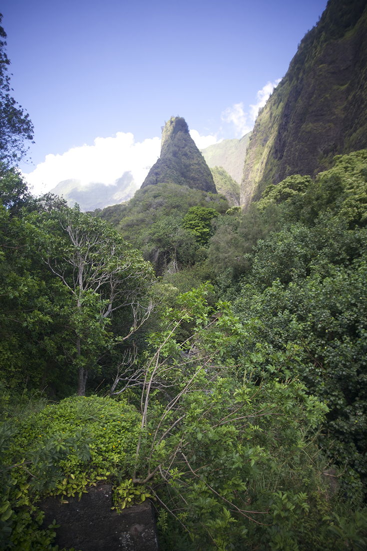Where To Capture Picture Perfect Views Of Maui