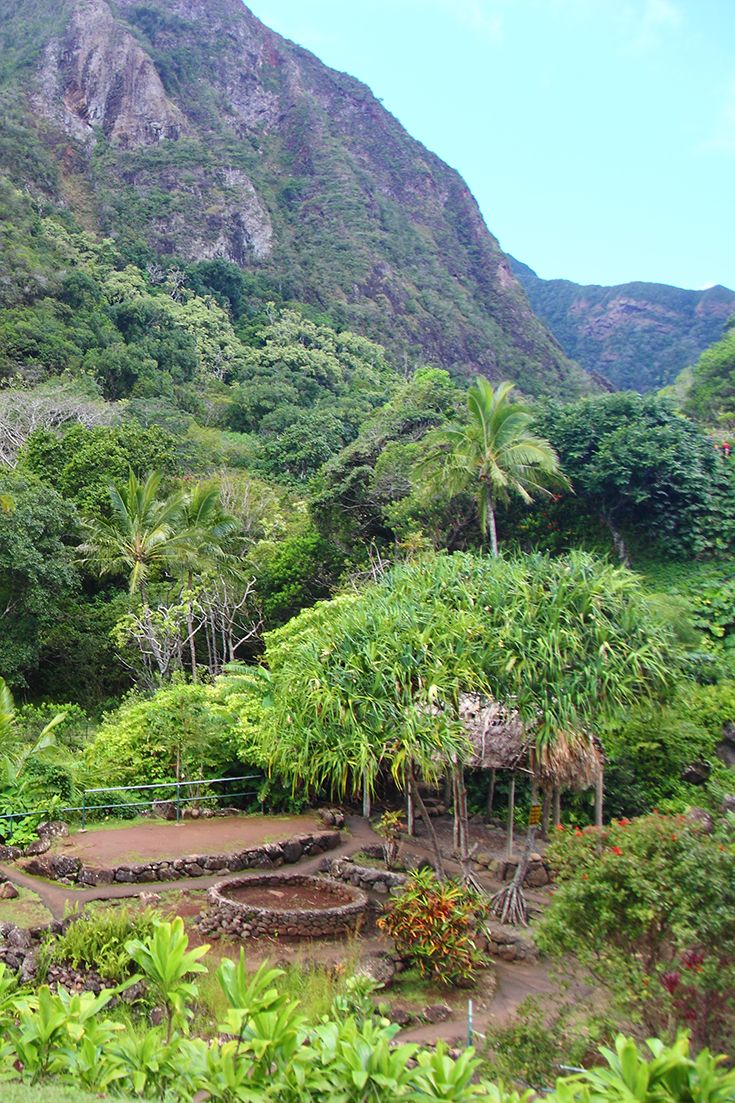 Where To Capture Picture Perfect Views Of Maui