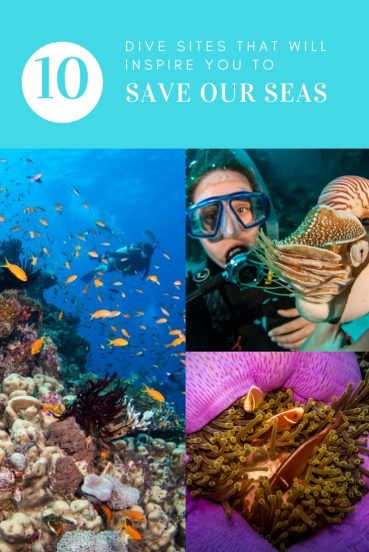 Dive Sites That Will Inspire You To Save Our Seas