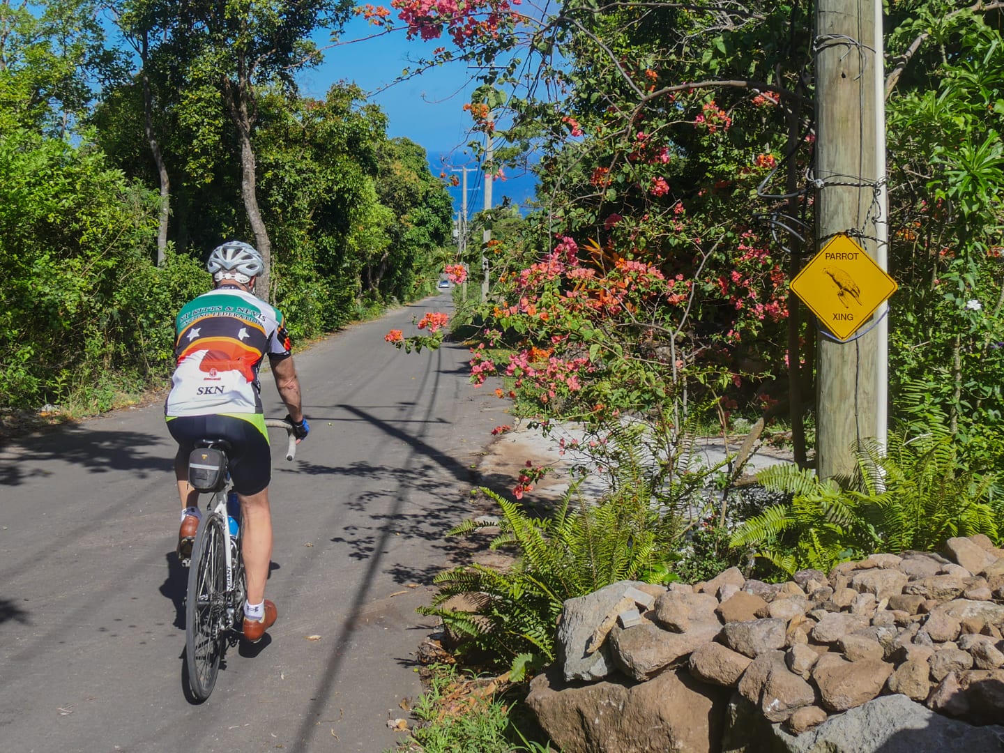 Where to Cycle on Nevis Island: A Two-Wheeled Island Tour