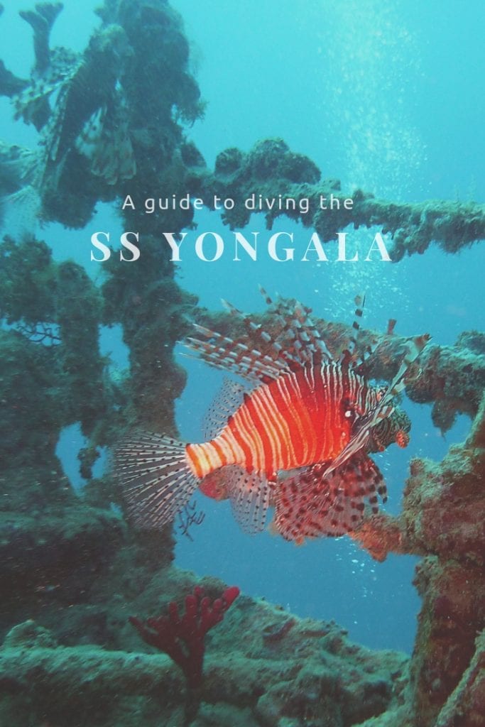 Diving The Wreck Of The SS Yongala