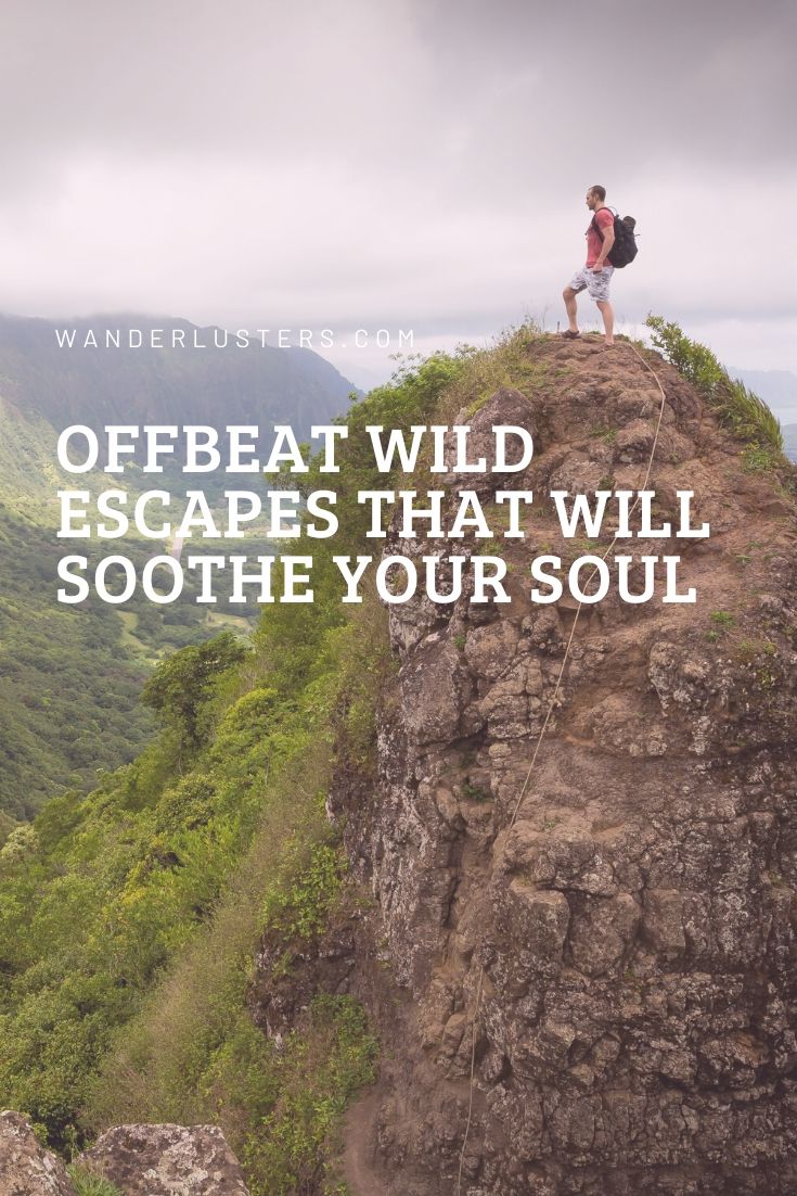 9 Offbeat Wild Escapes For Your Adventurous Vacation in 2020