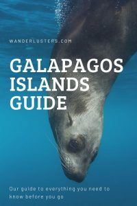 Galapagos Islands Guide: Everything You Need To Know Before You Go