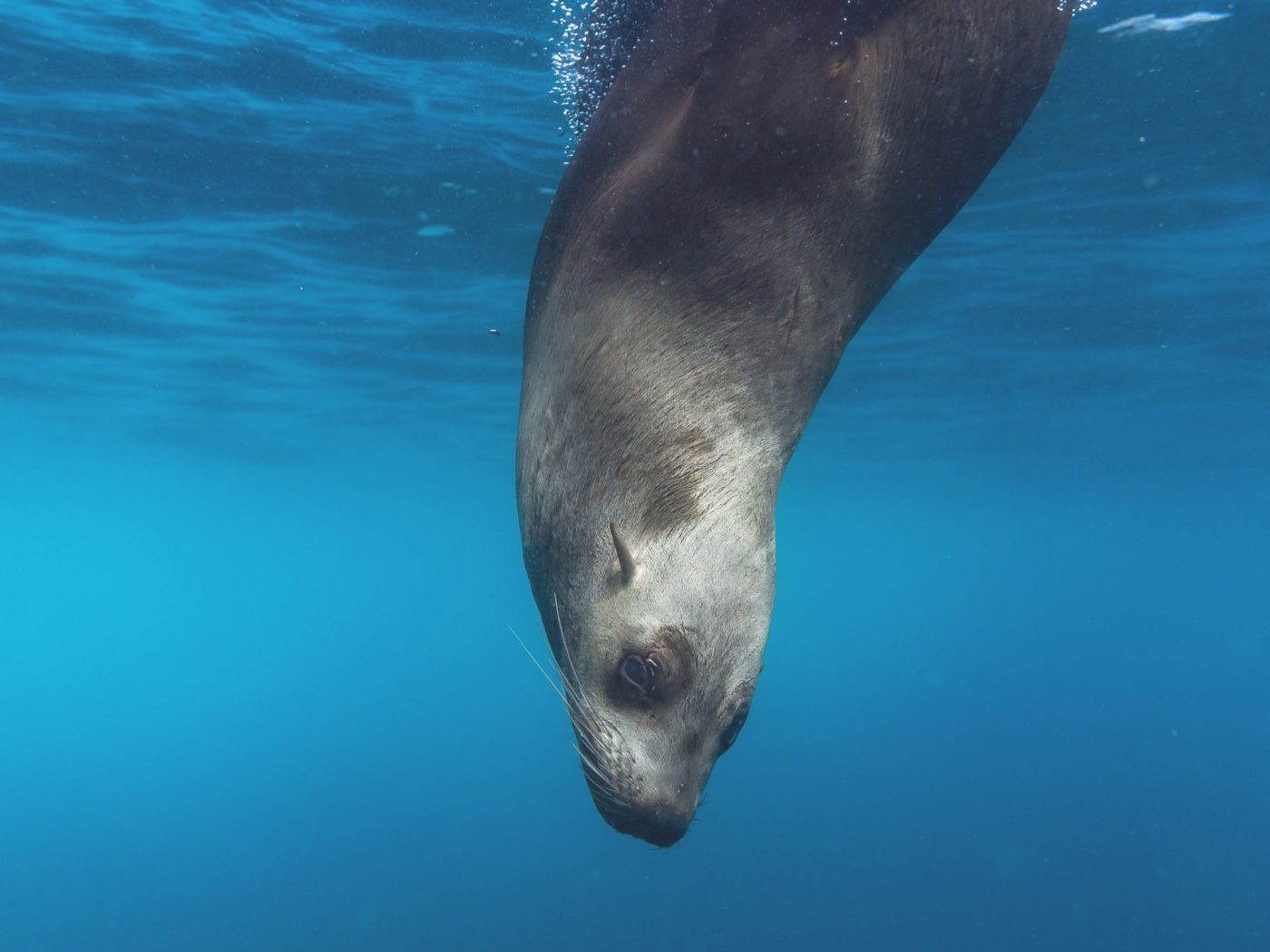 Galapagos Islands Guide: Everything You Need To Know Before You Go