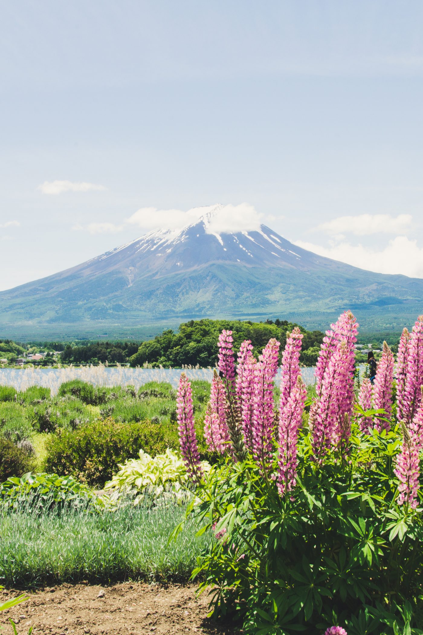 The Ultimate Guide to Visiting Mount Fuji From Tokyo Japan