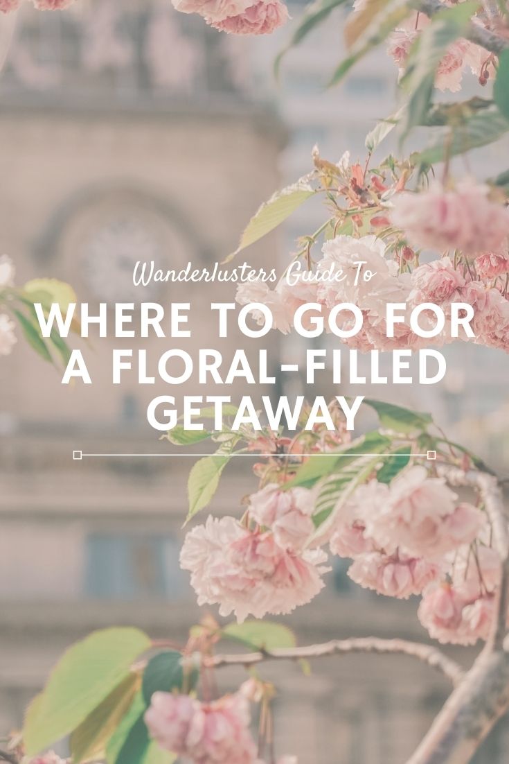 Where To Go For A Floral-Filled Getaway