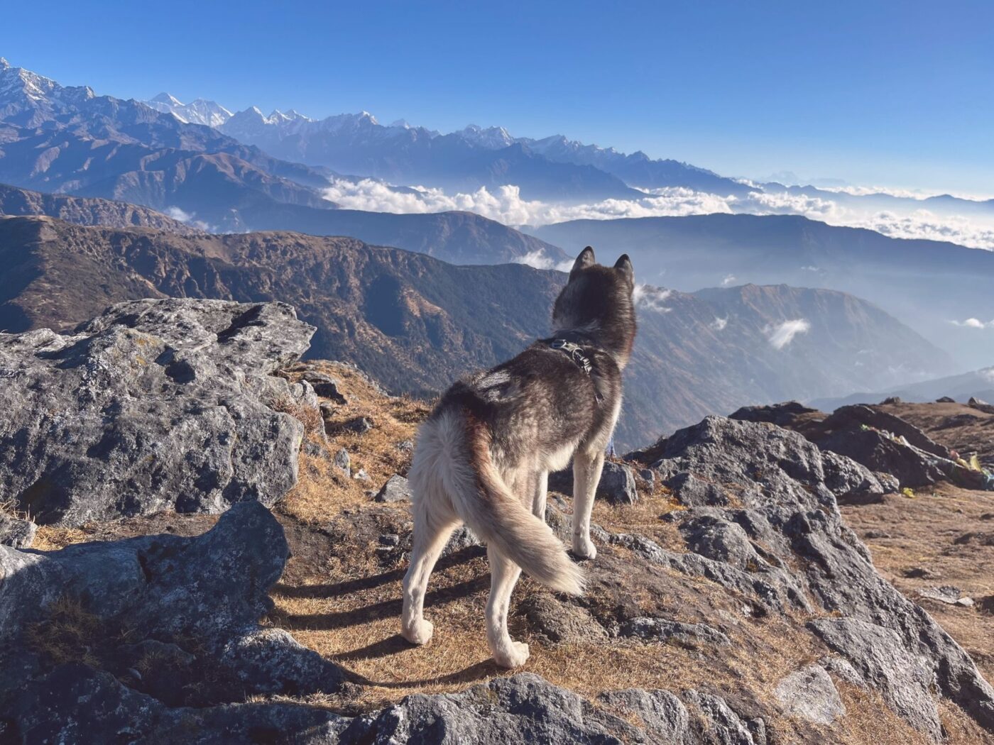 Pikey Peak Trek: The Ultimate Guide