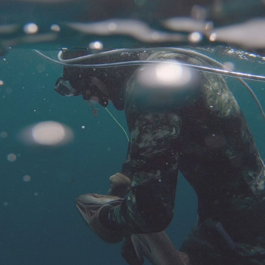 Paralegal To Perpetual Wanderluster