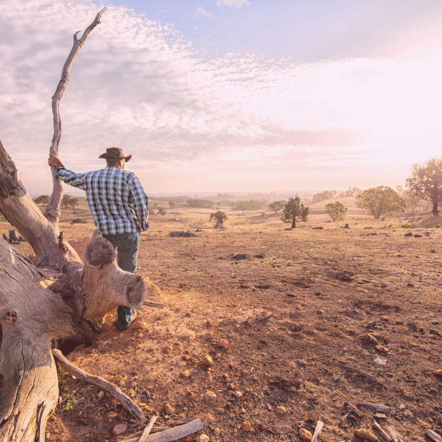Exploring the Whitsunday Islands | Wanderlusters